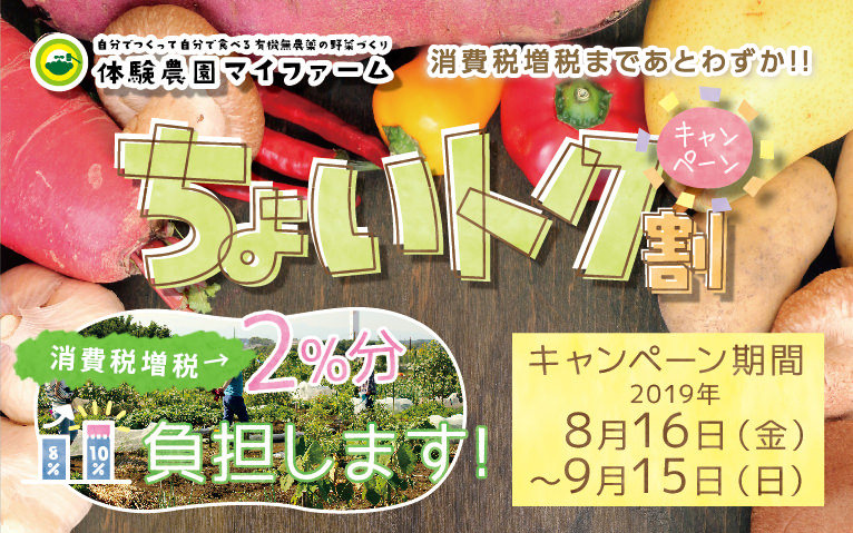 マイファームで体験農園（貸し農園・市民農園）で、週末野菜づくりの楽しさを