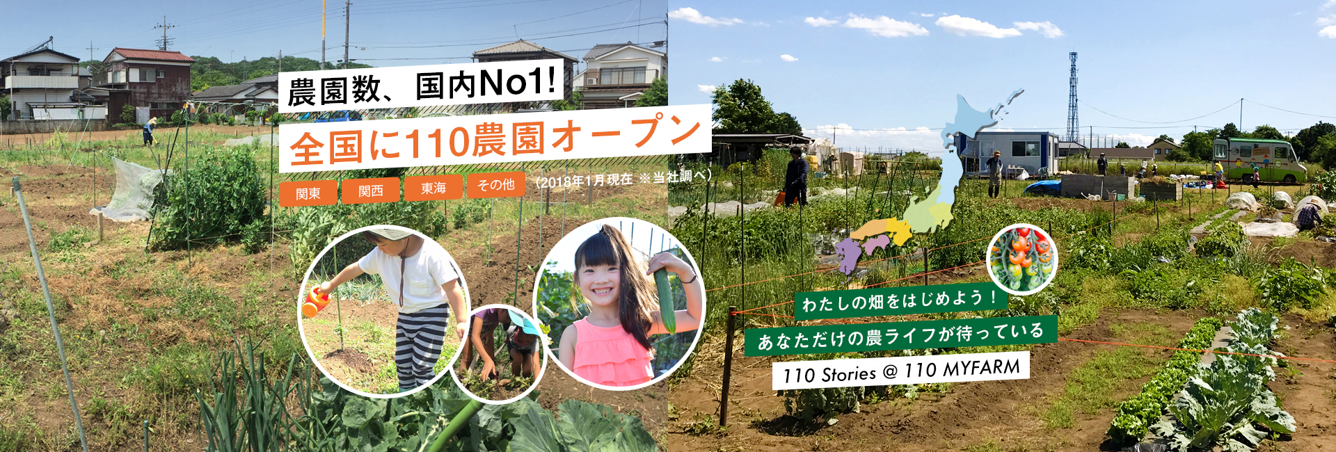 体験農園マイファーム｜自分でつくって自分で食べる有機無農薬の野菜づくり